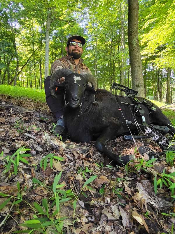 Top Ram Hunting in Pennsylvania | Best Guided Hunts | Stonebridge