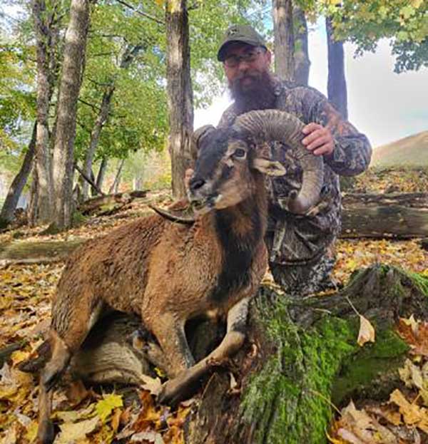 Top Ram Hunting in Pennsylvania | Best Guided Hunts | Stonebridge